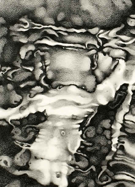 Pencil Drawings - Ancestors Detail